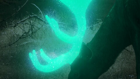 ArtStation - Blue Magic | Artworks