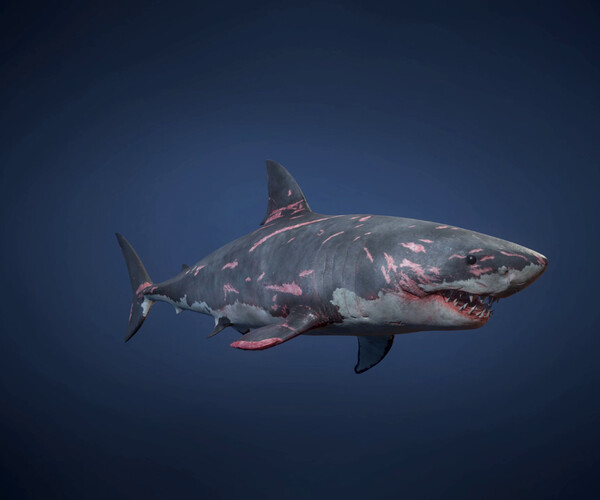 ArtStation - Great White Sharks - Game Ready | Game Assets