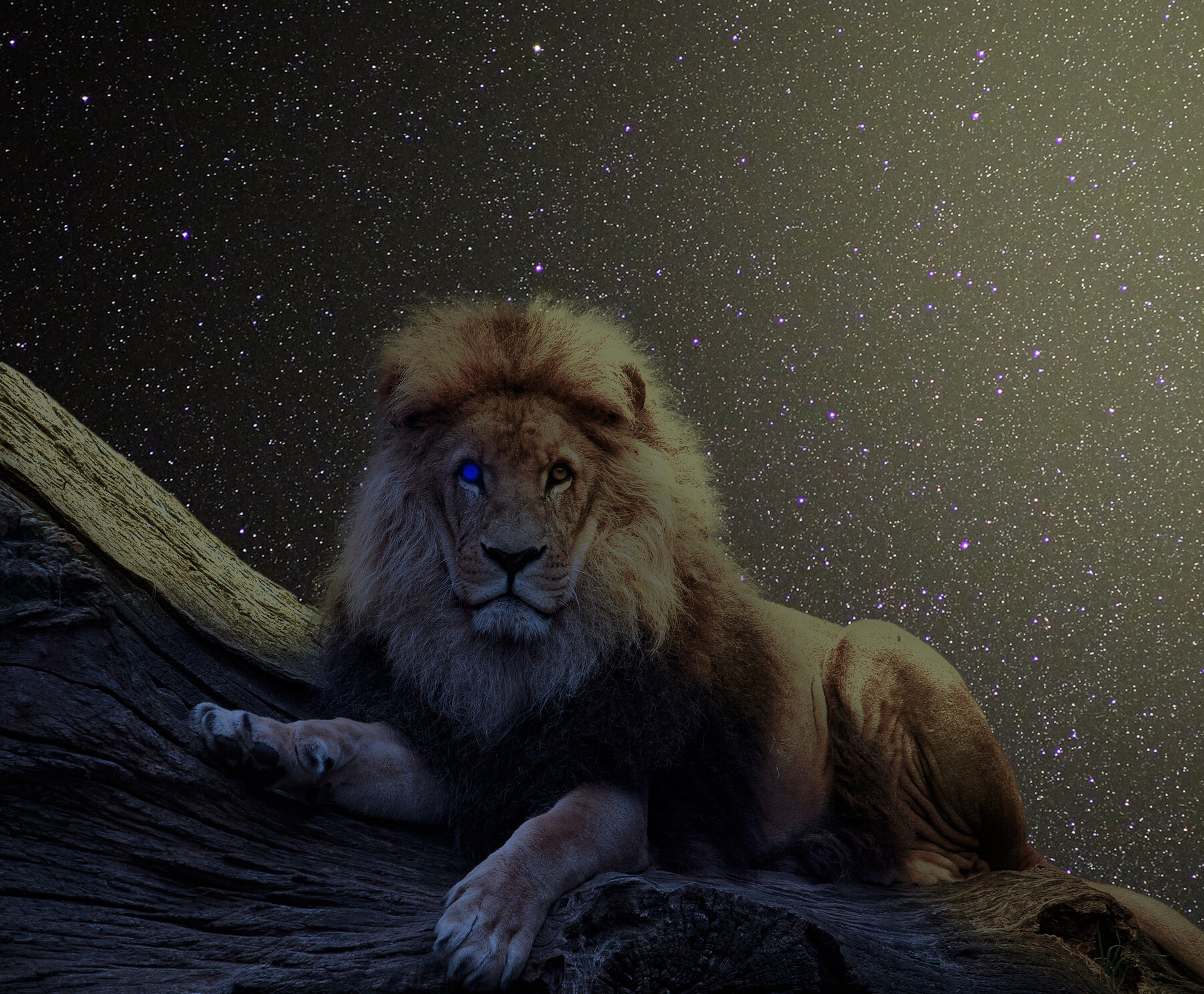 ArtStation - Space Lion | Artworks