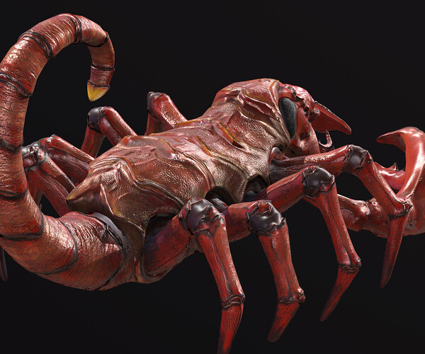ArtStation - 3D model Scorpion | Game Assets