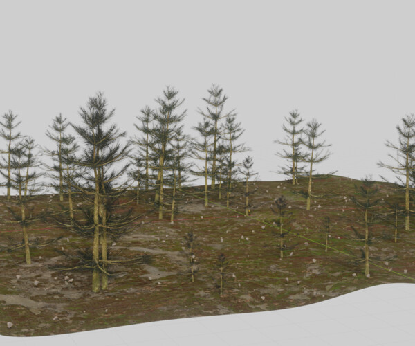 ArtStation - Forest generator - can be used to generate customised ...