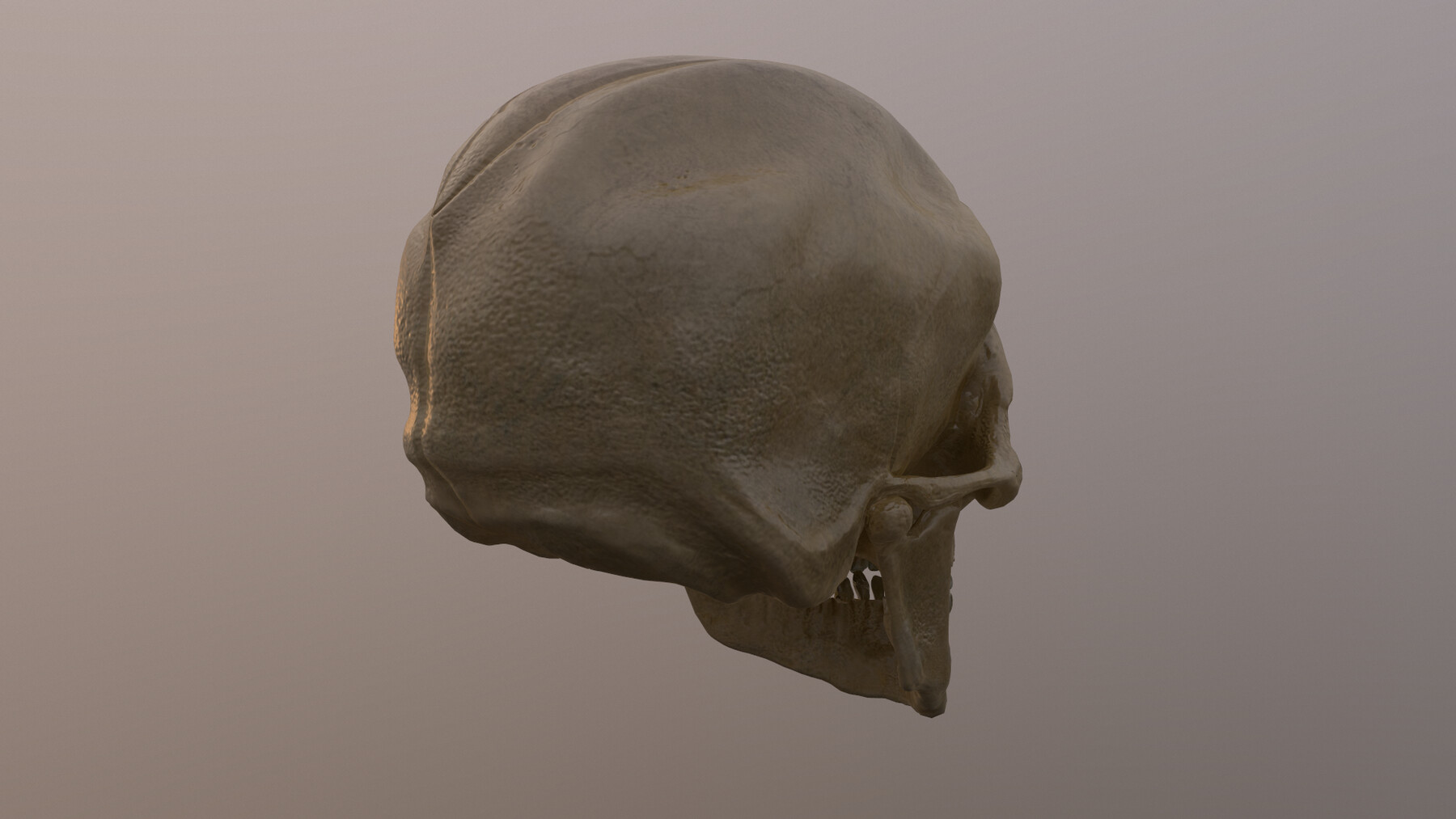 ArtStation - Damaged Skull | Resources