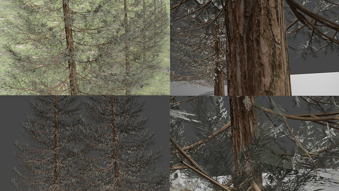 ArtStation - Set of realistic fir trees | Game Assets