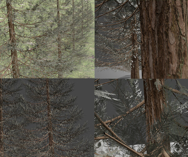 ArtStation - Set of realistic fir trees | Game Assets