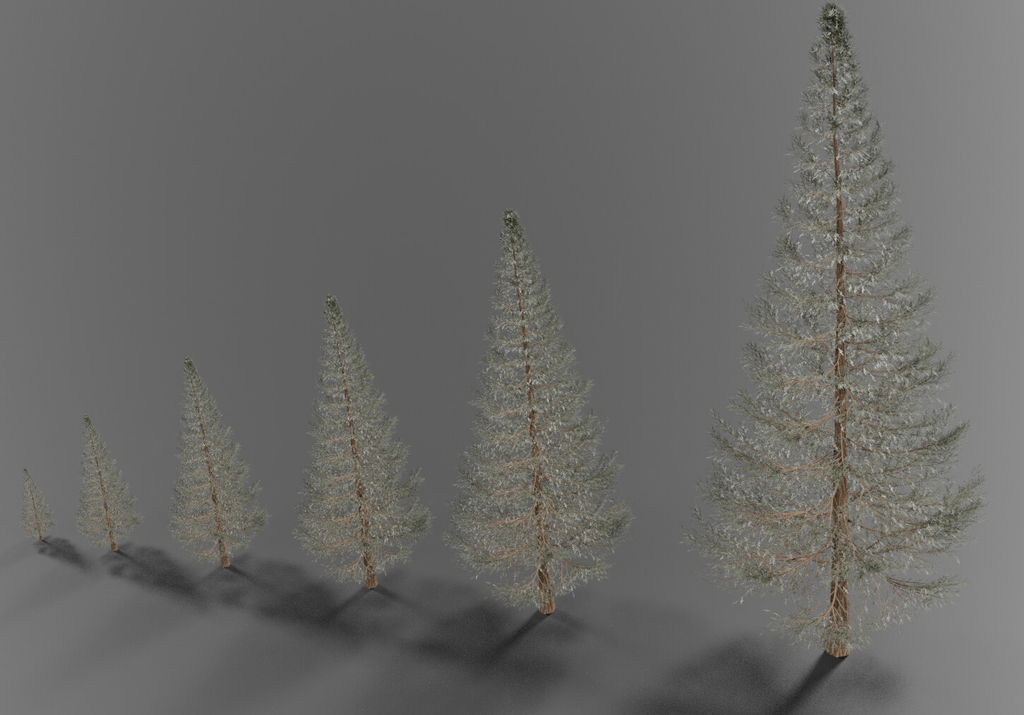 ArtStation - Set of realistic fir trees | Game Assets