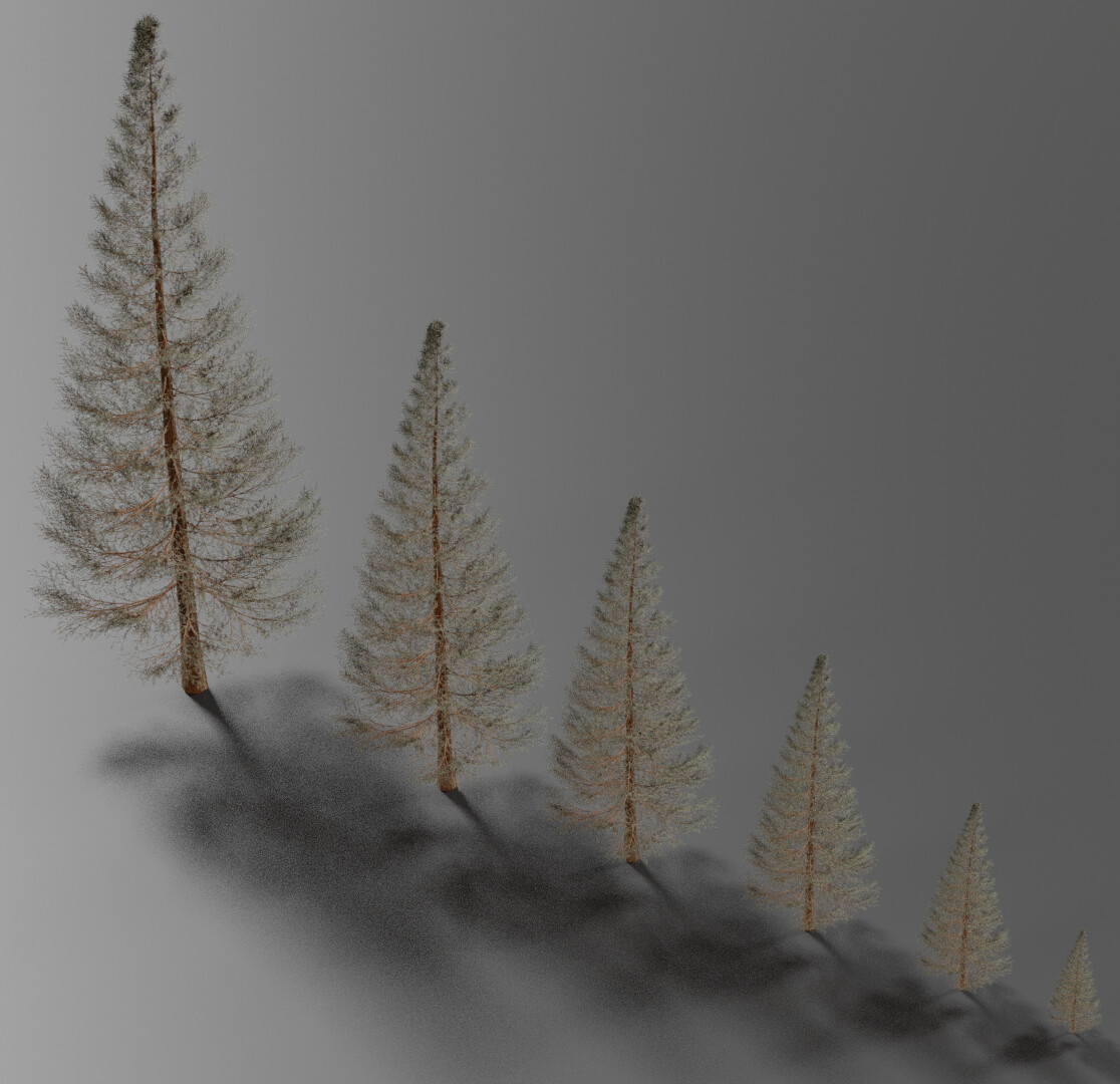 ArtStation - Set of realistic fir trees | Game Assets