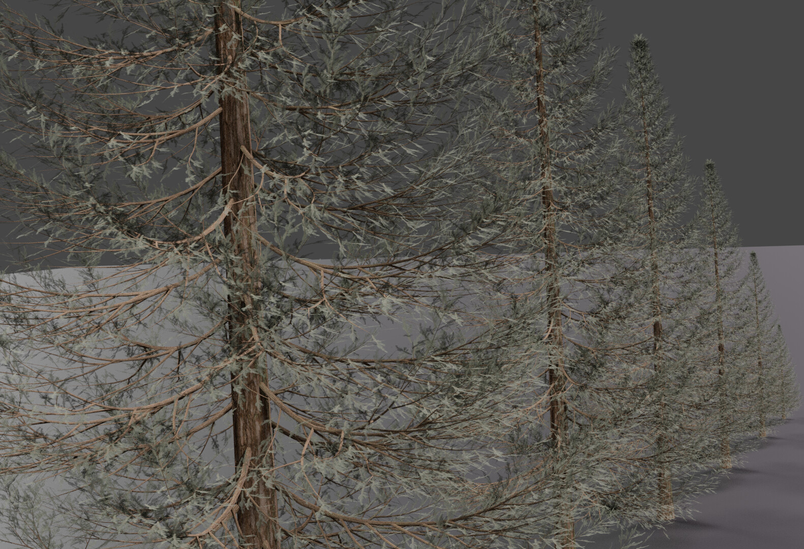 ArtStation - Set of realistic fir trees | Game Assets