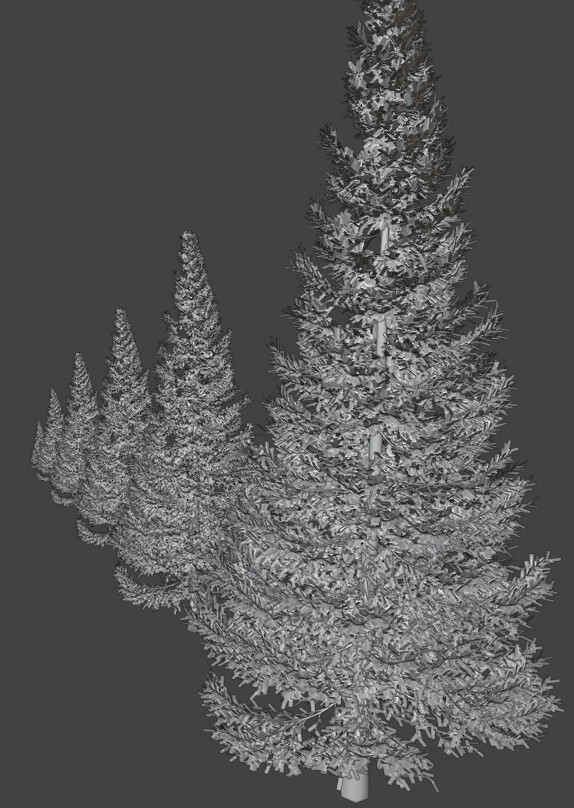ArtStation - Set of realistic fir trees | Game Assets