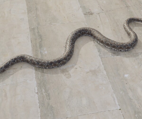 ArtStation - Rigged python 3D model | Resources