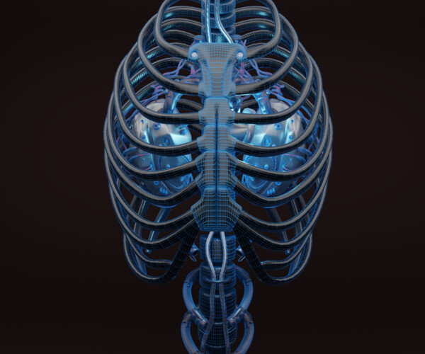 ArtStation - Cyber Body | Resources