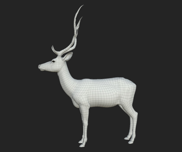 ArtStation - Realistic Deer 3d model with rigged | Game Assets