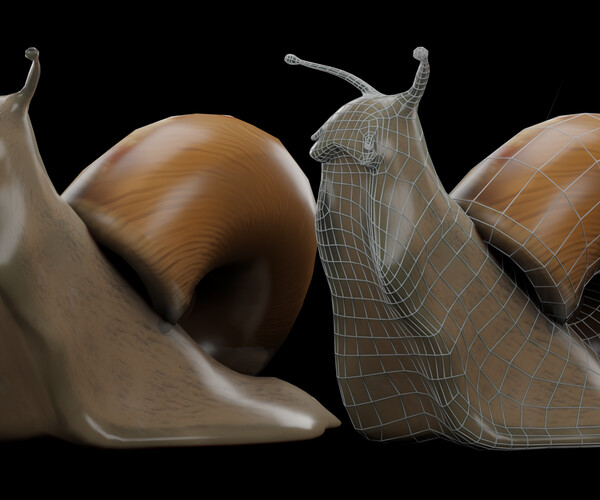 ArtStation - Snail | Game Assets