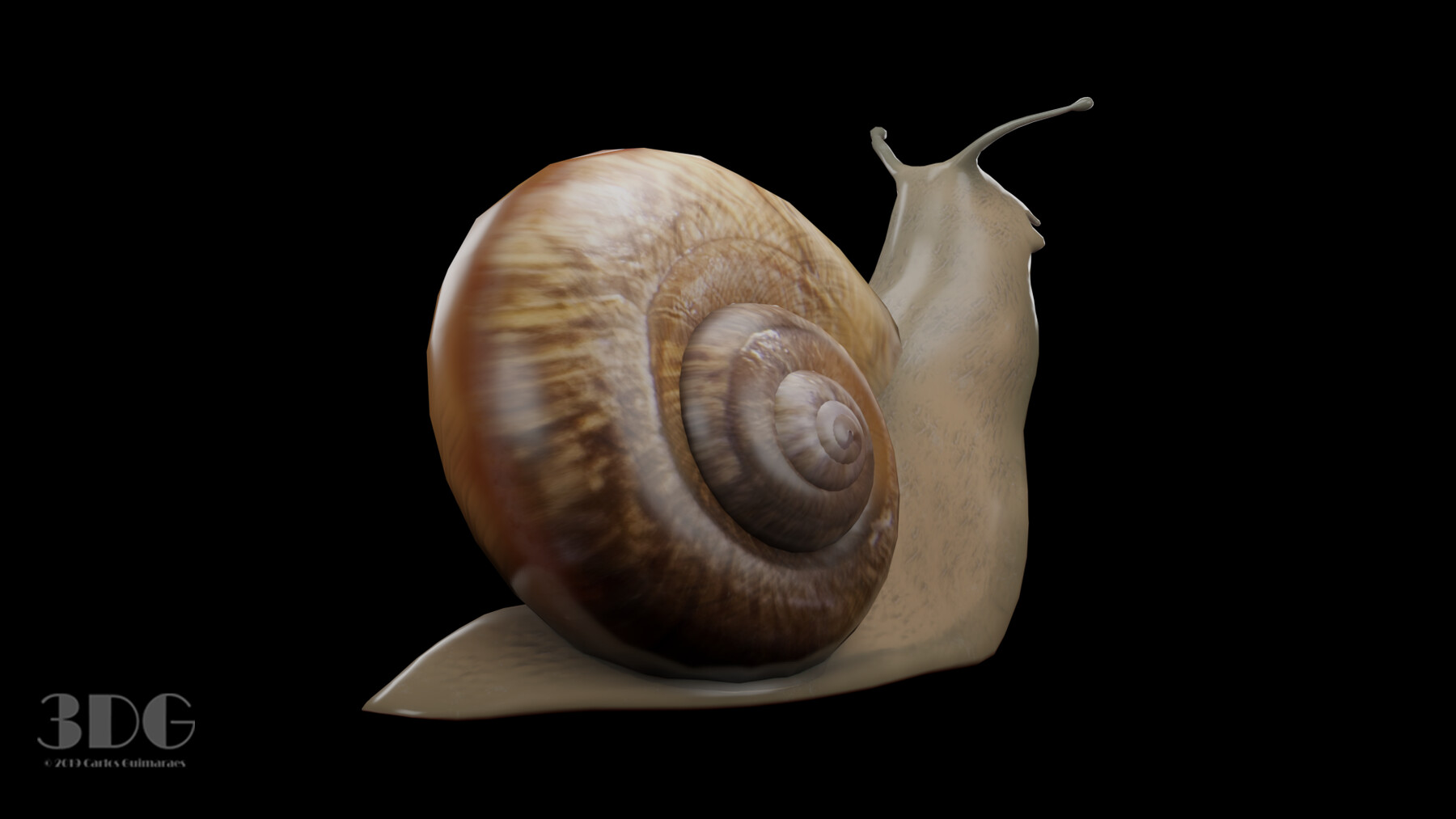 ArtStation - Snail | Game Assets