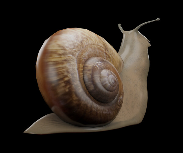 ArtStation - Snail | Game Assets