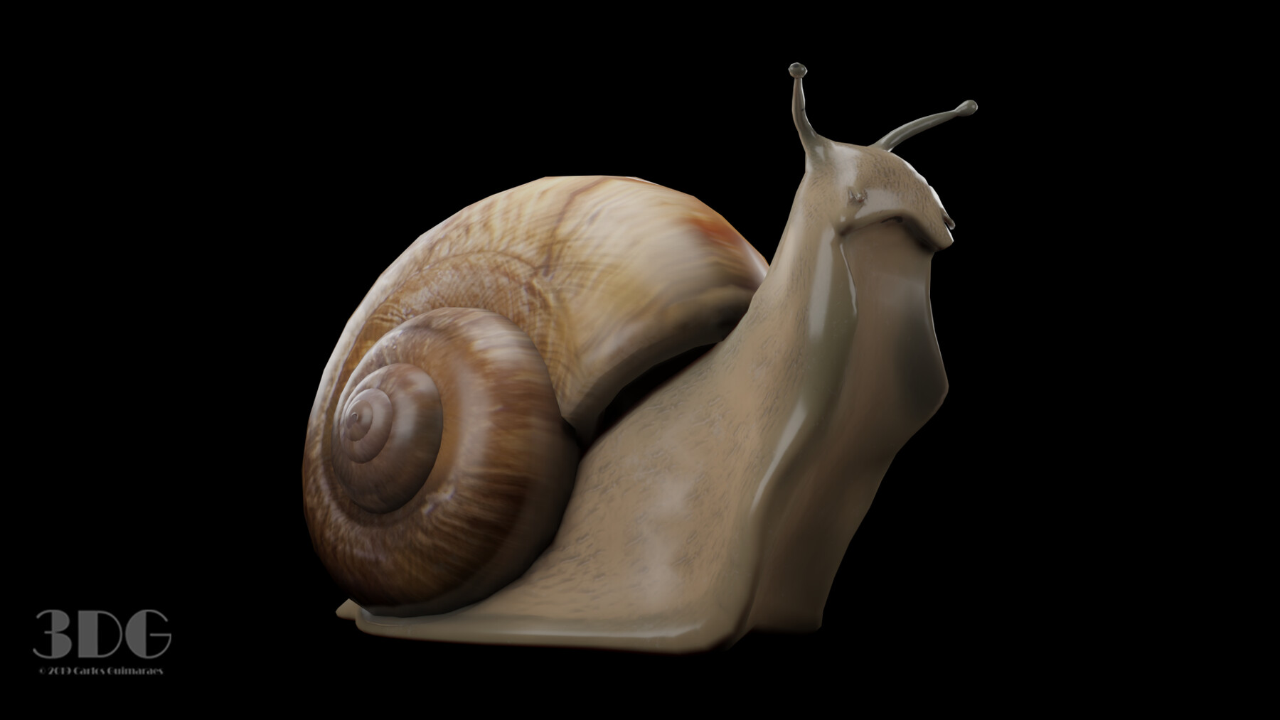 ArtStation - Snail | Game Assets