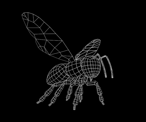 ArtStation - BEE | Resources