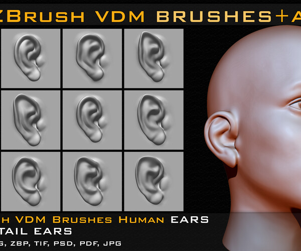 ArtStation - 40 Zbrush VDM Human Ears Brushes + Alpha + FBX + OBJ | Brushes