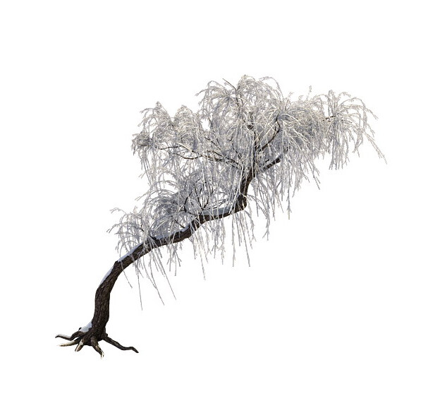 ArtStation - Winter snow - tree | Game Assets