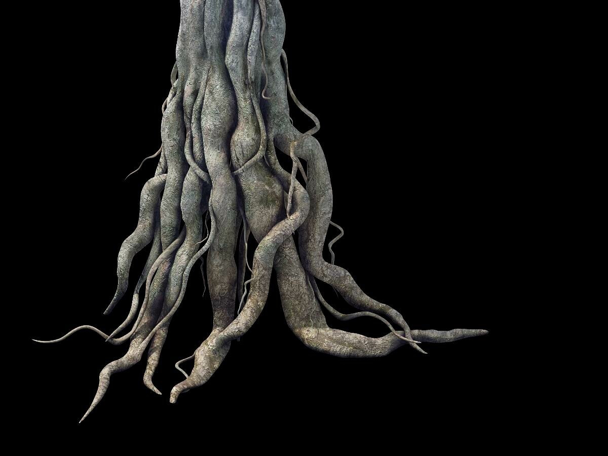 ArtStation - Game Model - Kashayana Buddha Forest Big Tree Root | Game Assets