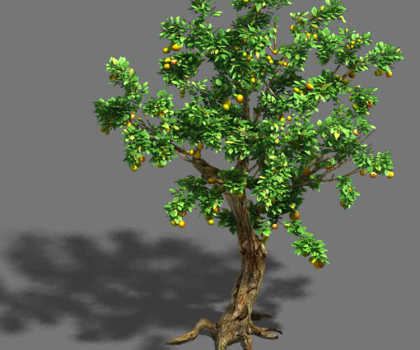ArtStation - Woods - orange trees | Game Assets