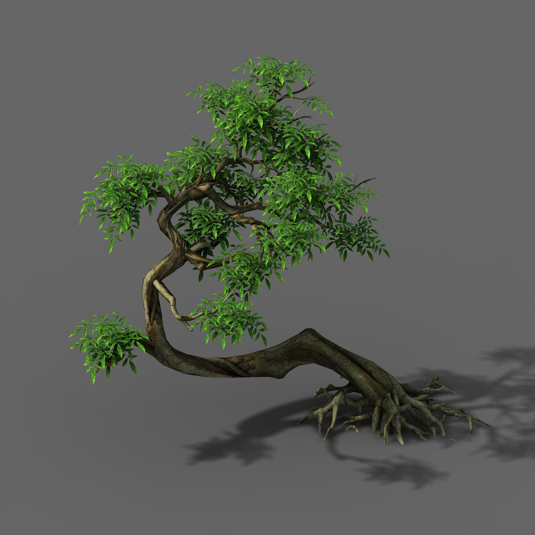 ArtStation - Plant - Green Tree 4 | Game Assets