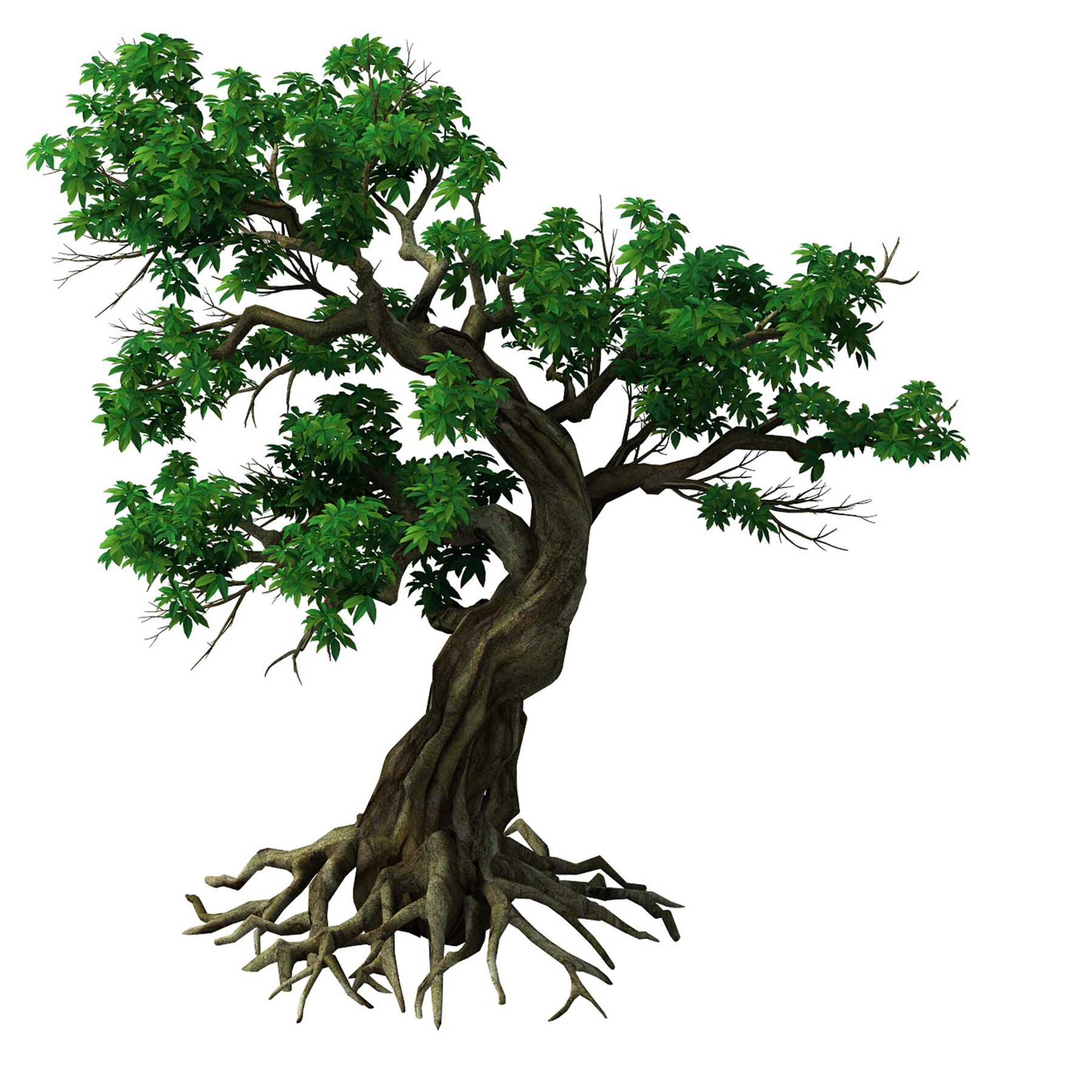 ArtStation - Plant - green leaf tree 01 | Game Assets