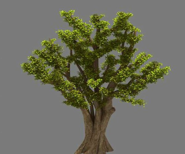 ArtStation - Plant - Ginkgo Tree 01 | Game Assets