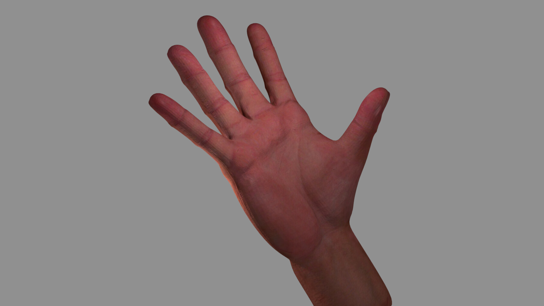 ArtStation - Hand 3d Model | Resources