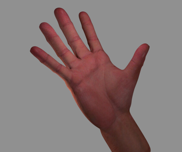 ArtStation - Hand 3d Model | Resources