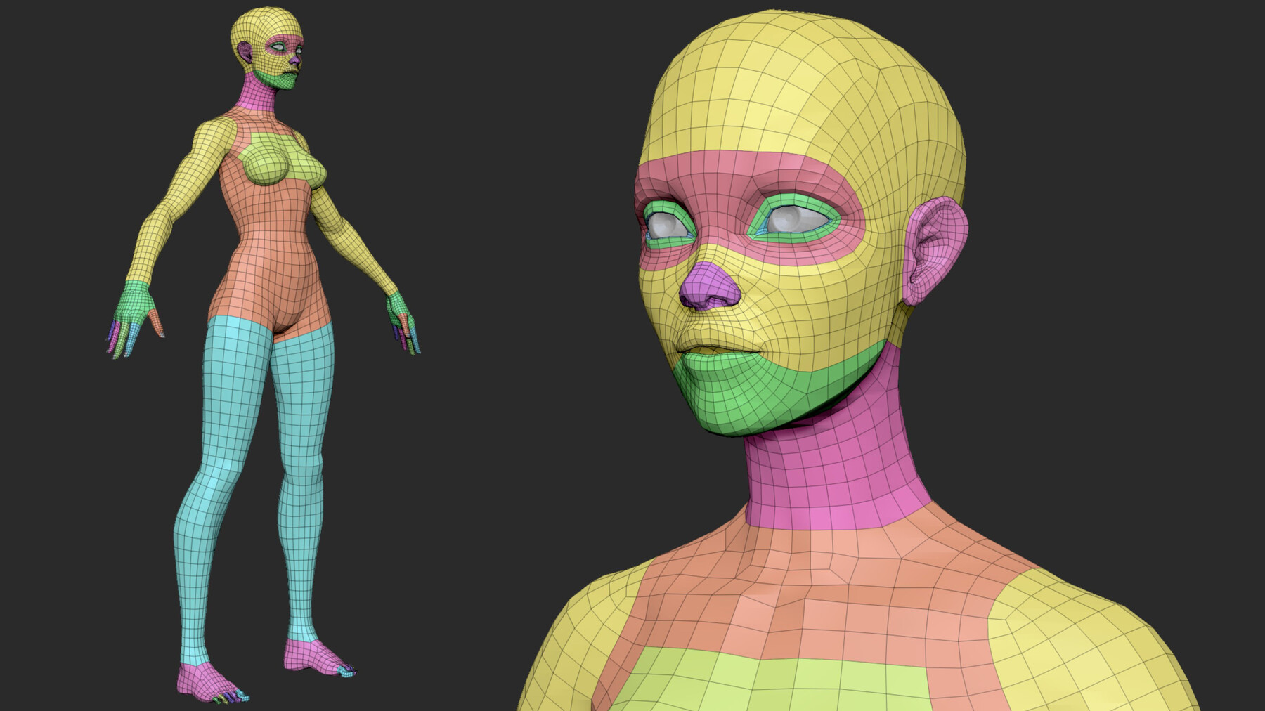 ArtStation - Full Female Body topology and UV map | Artworks