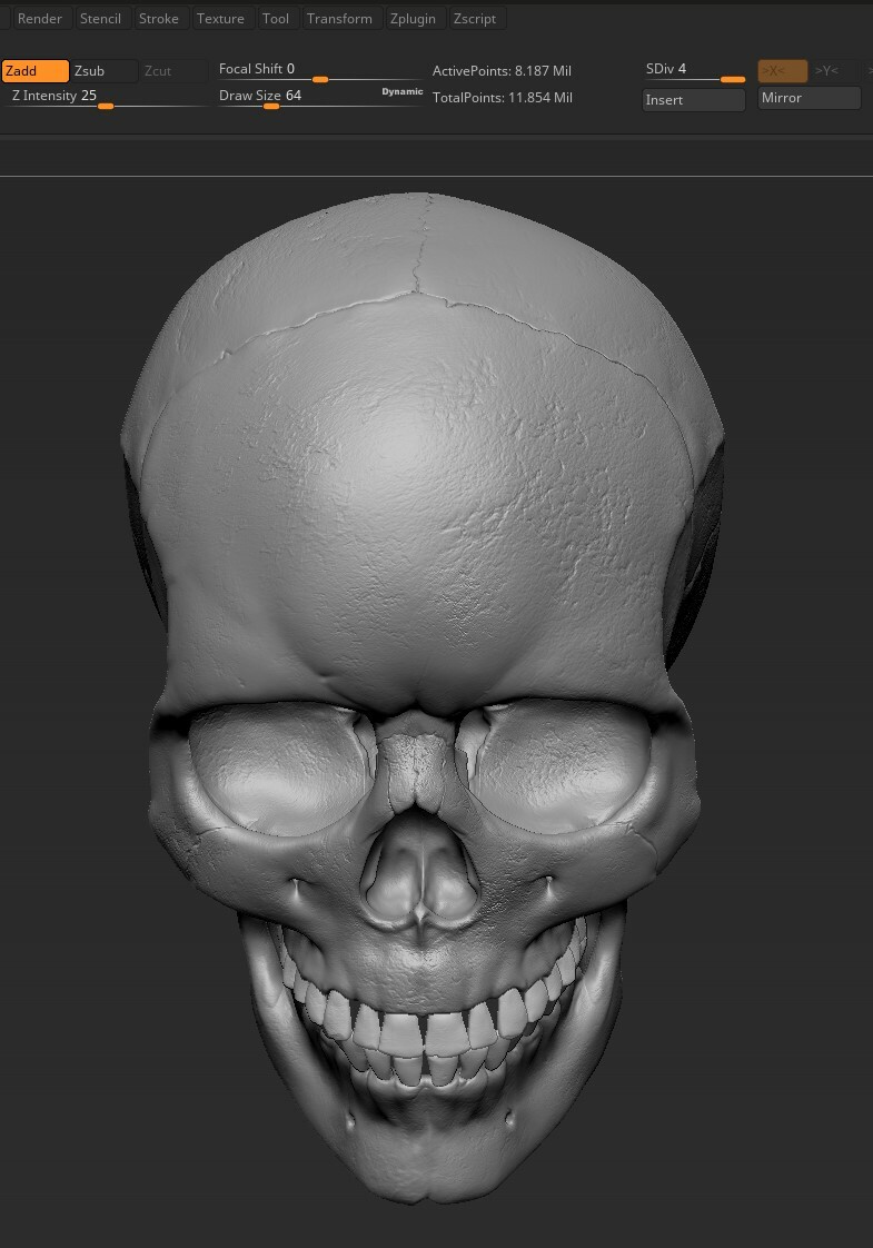 ArtStation - Realistic skull | Resources
