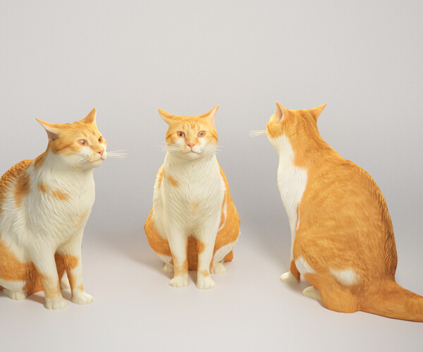 ArtStation - Red cat 07 | Game Assets