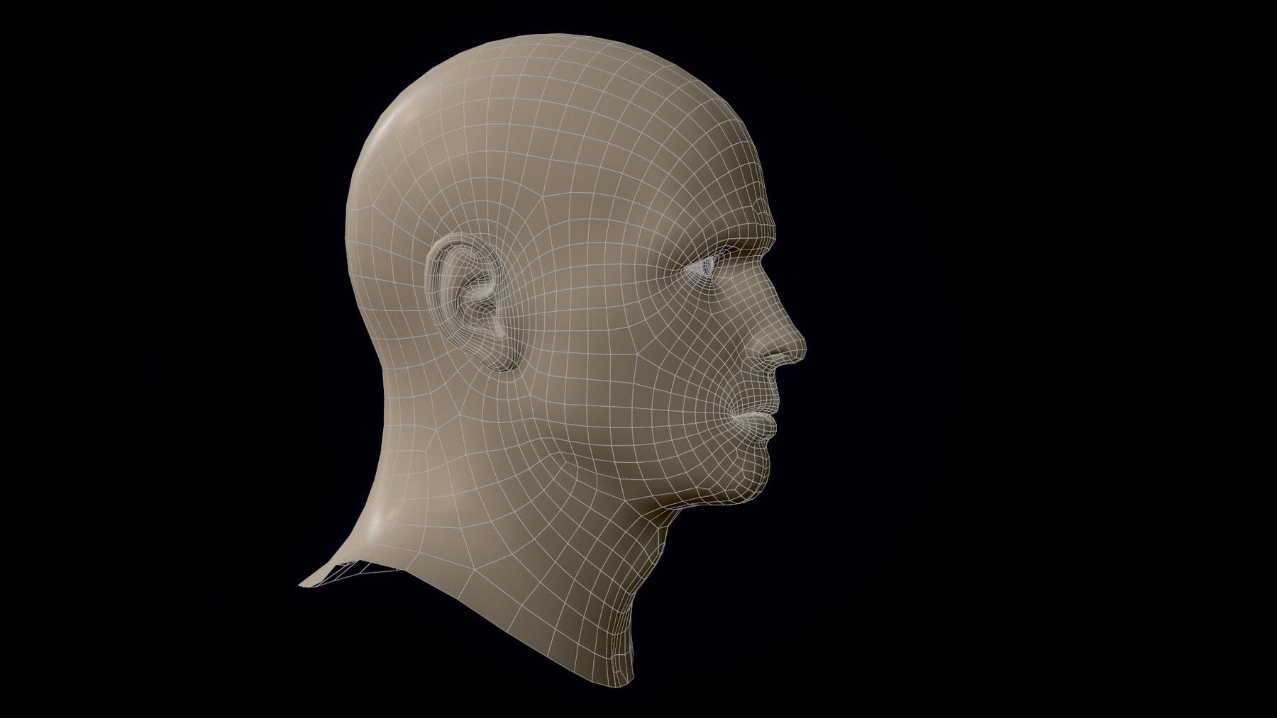 ArtStation - Male Head 02 | Resources