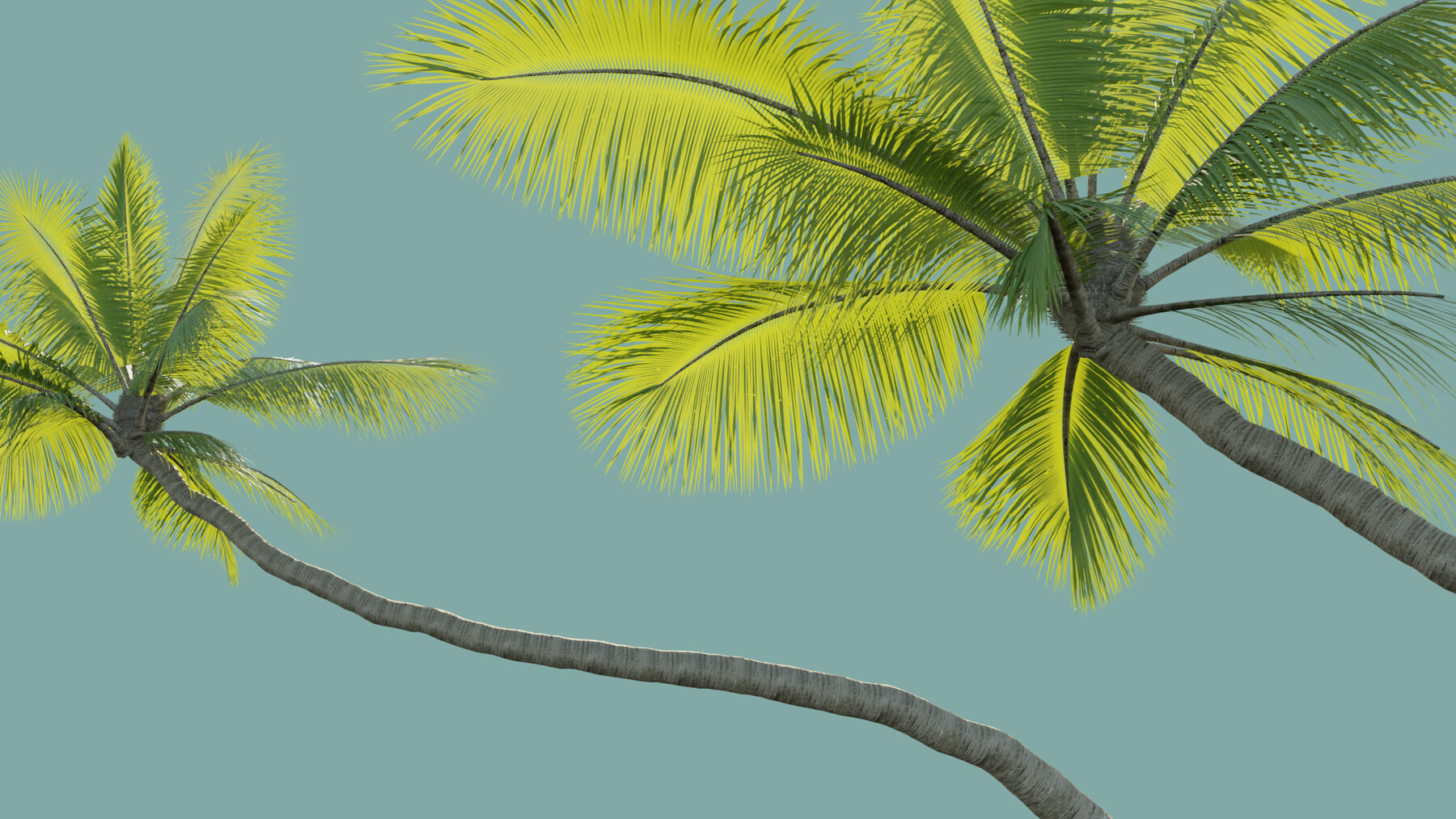 ArtStation - Palm Trees | Game Assets