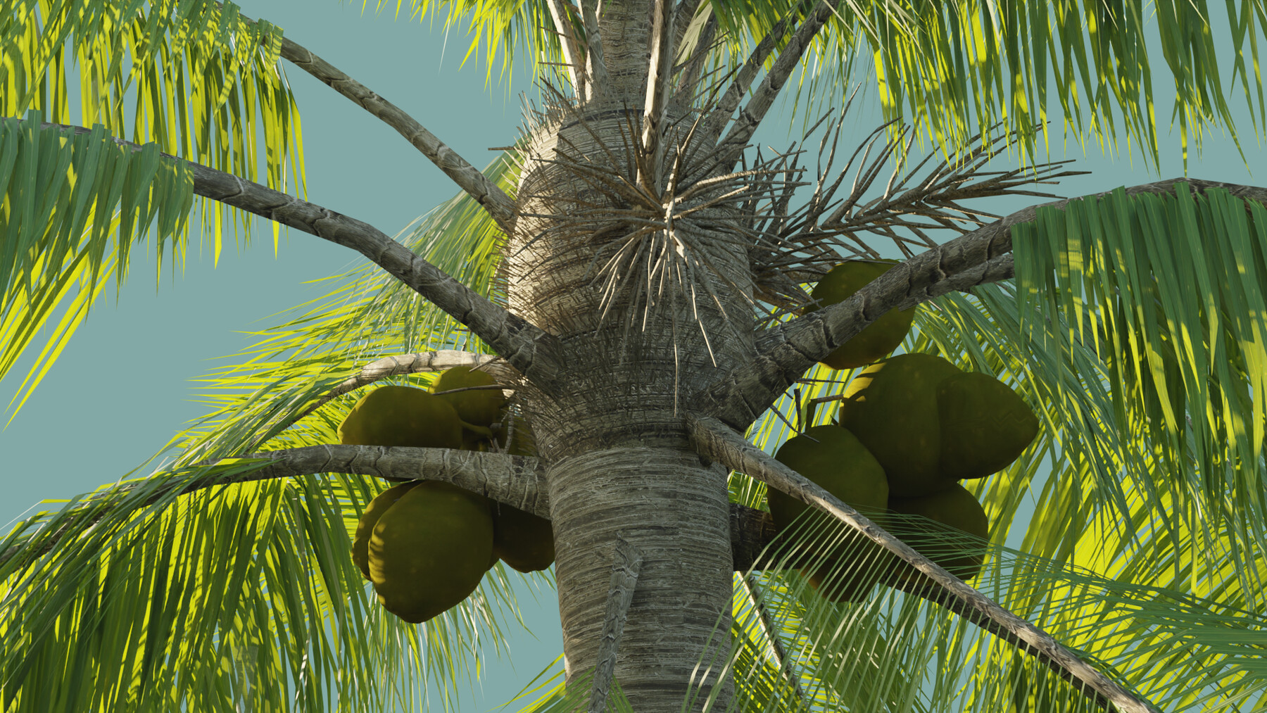 ArtStation - Palm Trees | Game Assets