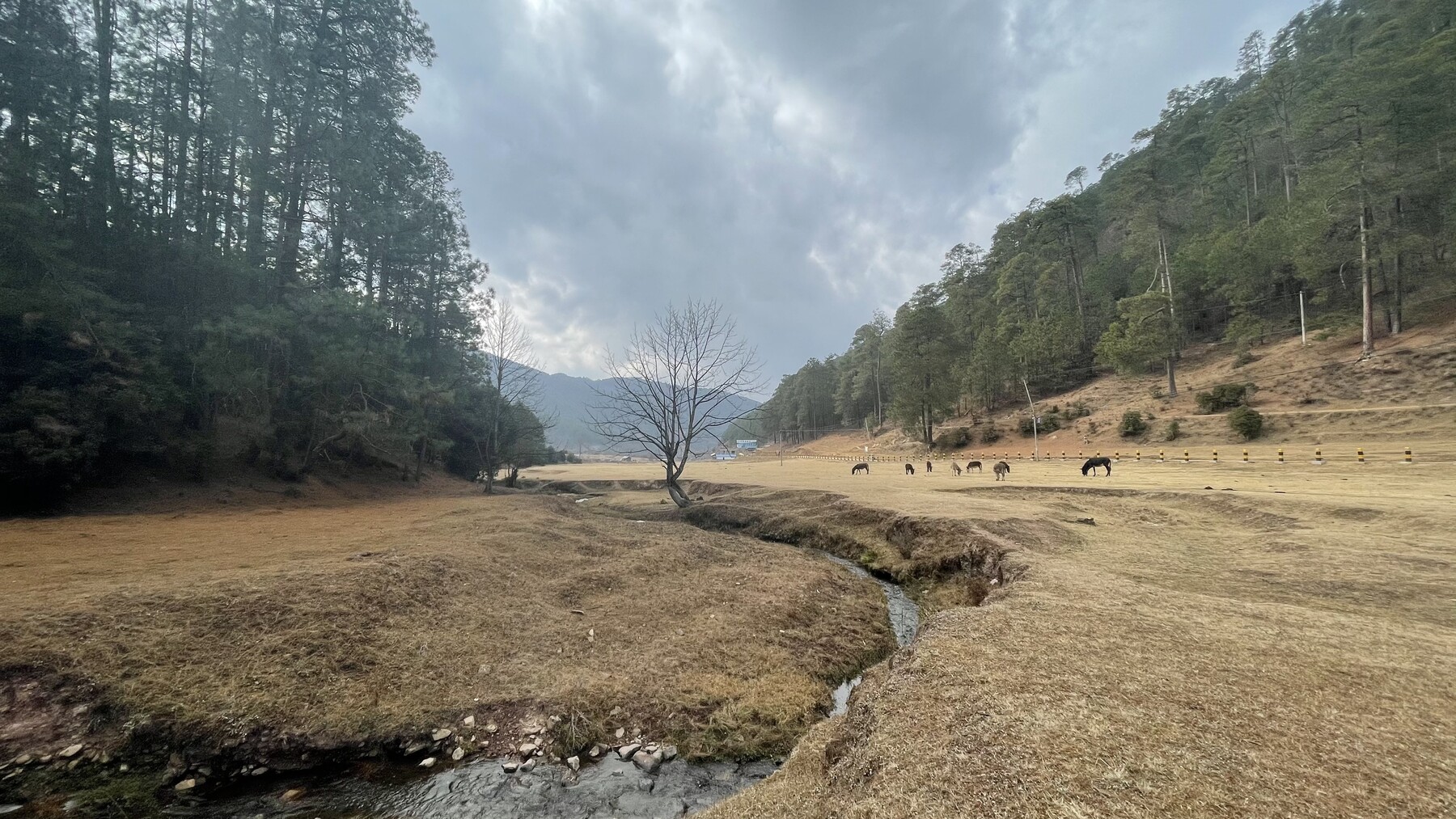 ArtStation - Uncultivated land pack | Resources