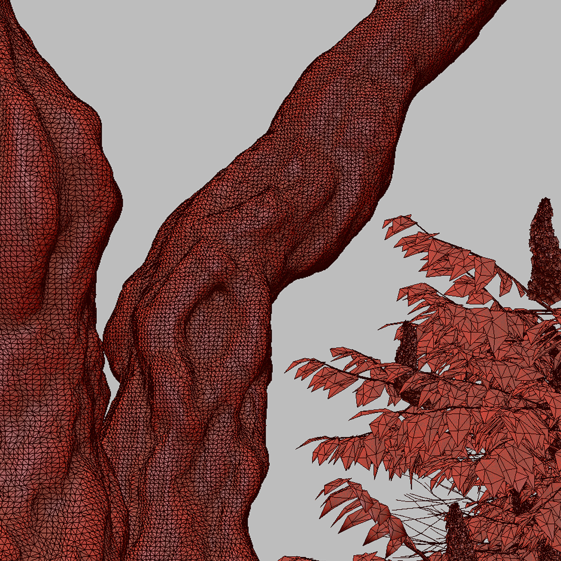 ArtStation - Set of Rhus typhina Trees (Staghorn sumac) (2 Trees ...