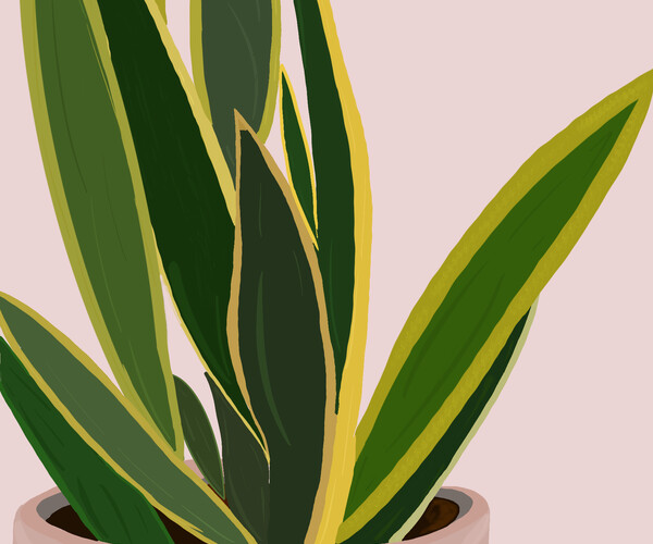 ArtStation - Snake Plant | Artworks