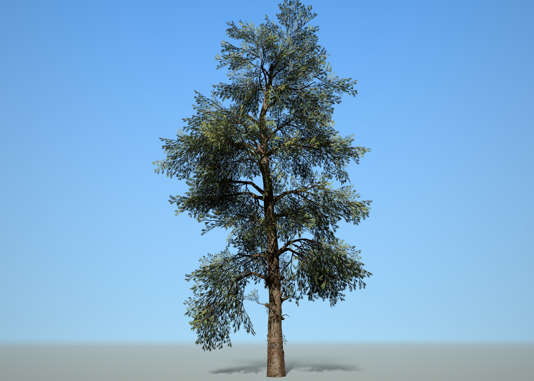 ArtStation - Nature Environment Asset Pack vol 2 | Game Assets