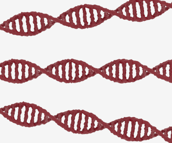 ArtStation - DNA 3D Model | Resources