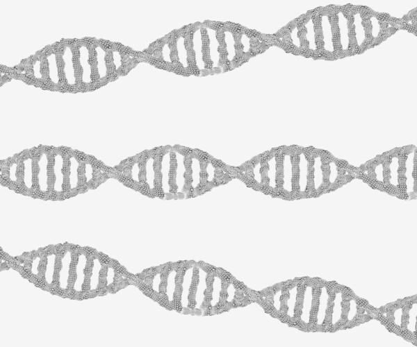 ArtStation - DNA 3D Model | Resources