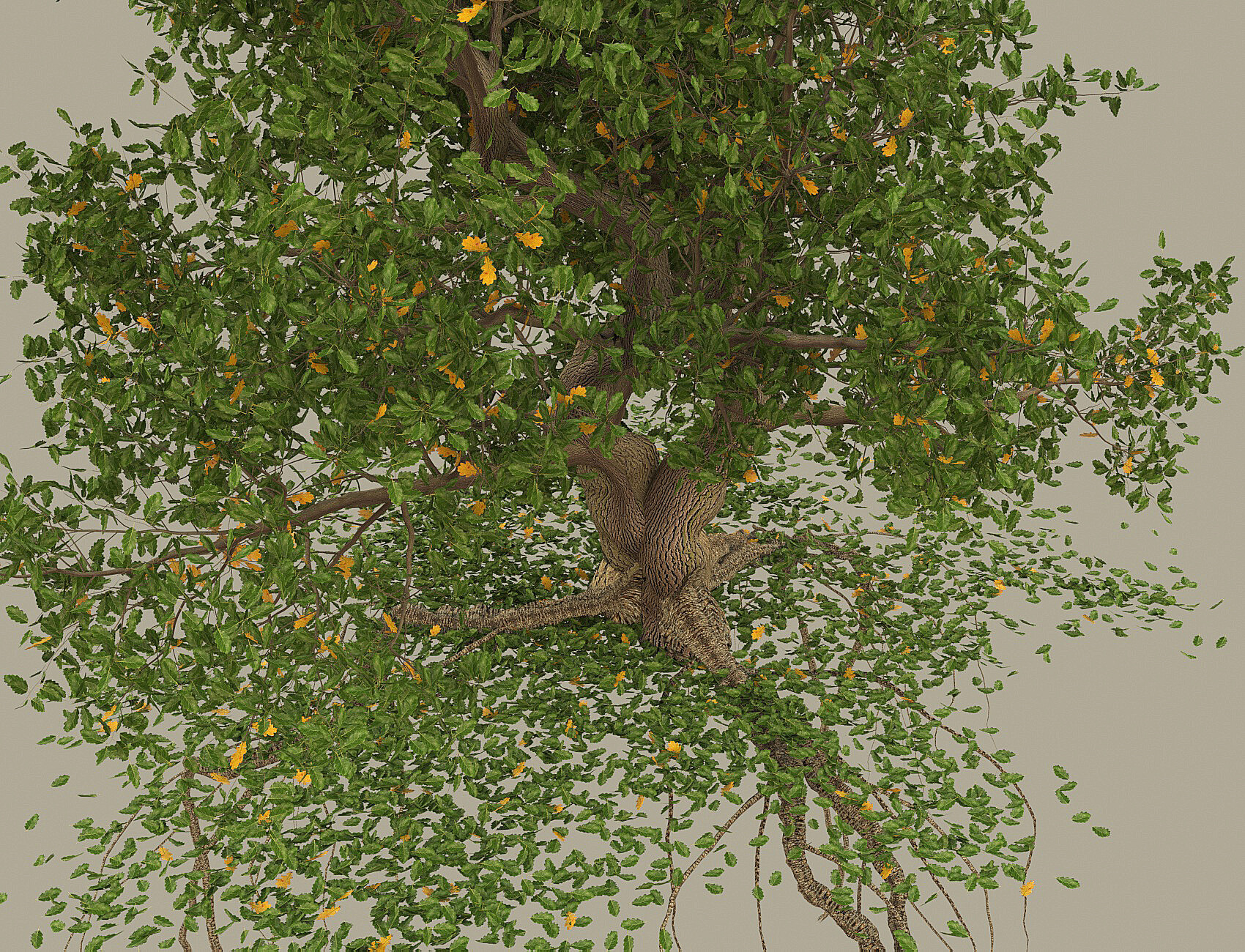 ArtStation - oak | Resources