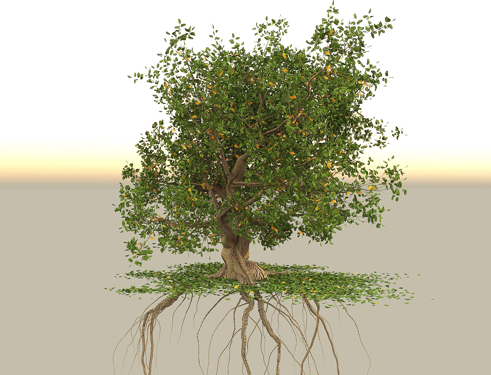 ArtStation - oak | Resources