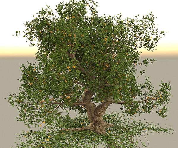 ArtStation - oak | Resources