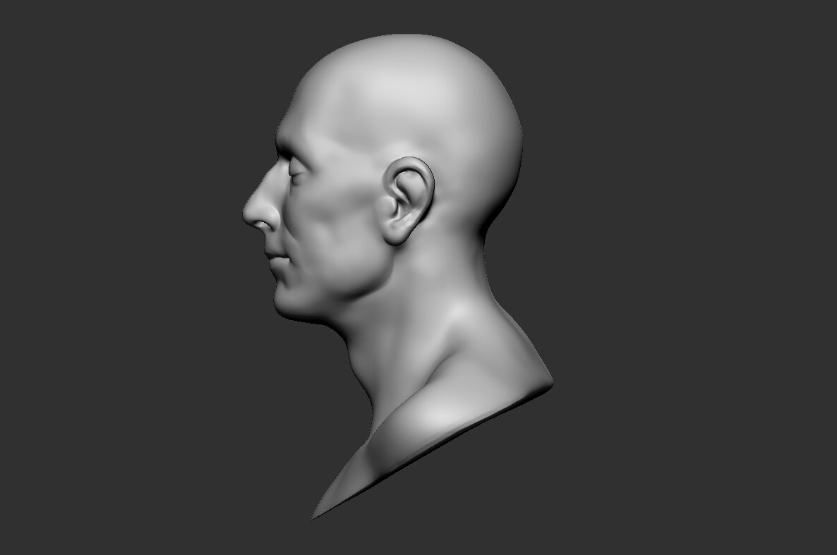 ArtStation - Male Head Bust Basemesh | Resources