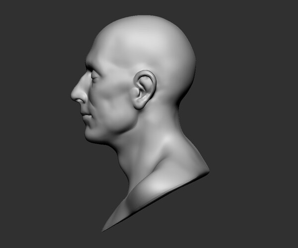 ArtStation - Male Head Bust Basemesh | Resources