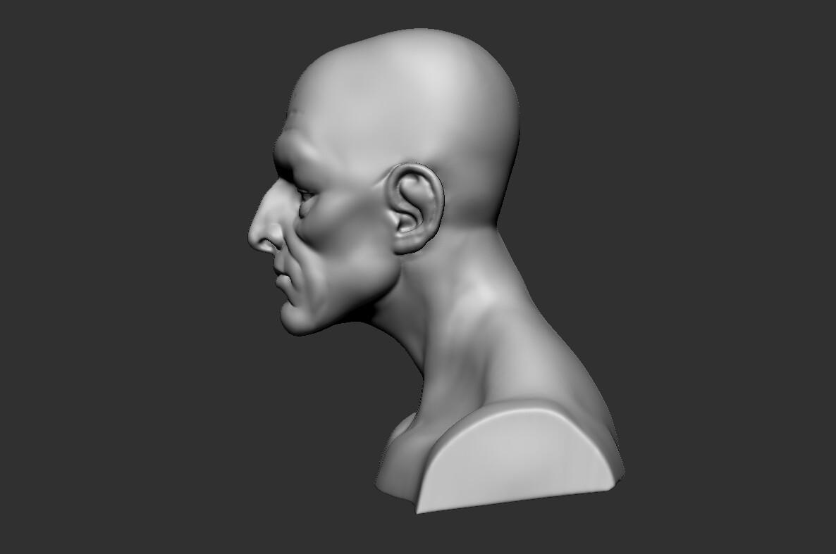 ArtStation - Male Head Bust Basemesh | Resources