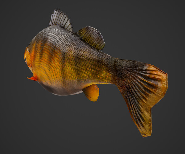 ArtStation - Perch | Game Assets