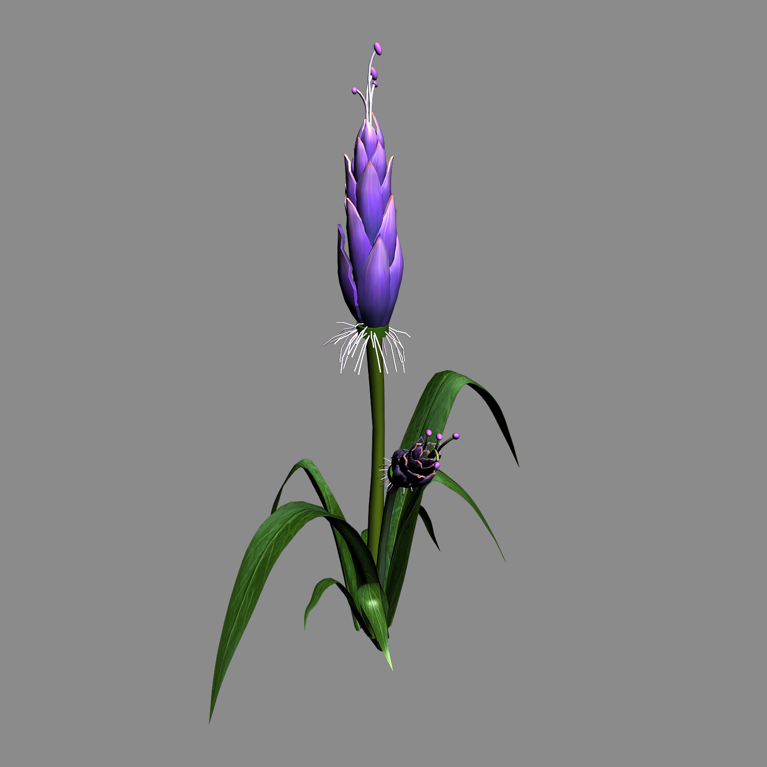 ArtStation - Wizard Villa - Flowers 02 | Resources
