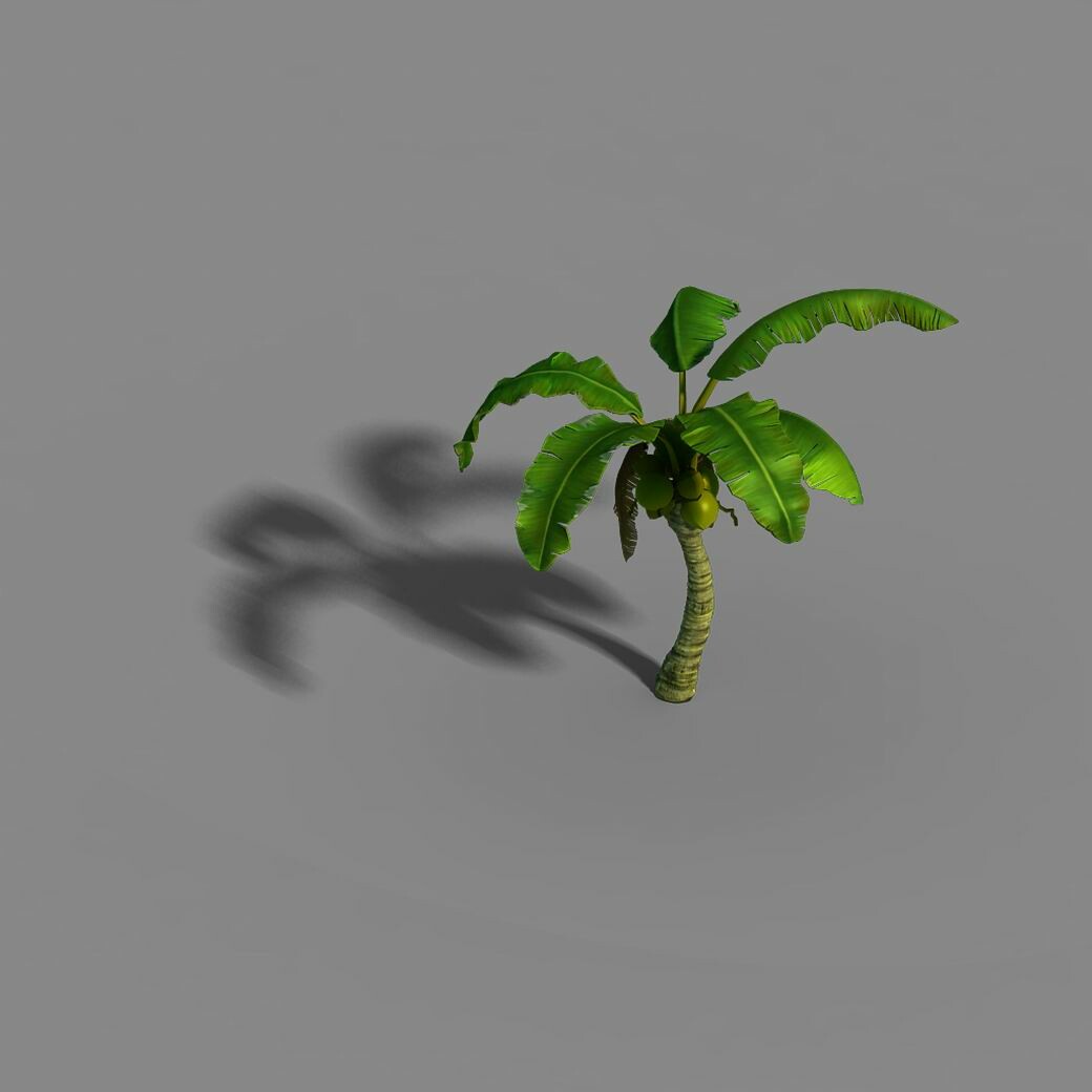 ArtStation - Liuli Island - coconut tree 02 | Resources